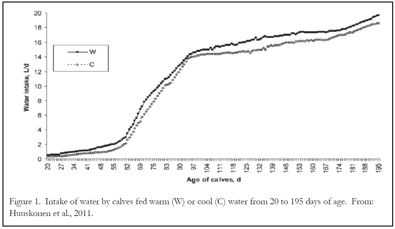 Calf Note #158 – Water for calves – cold or warm? – Calf Notes.com