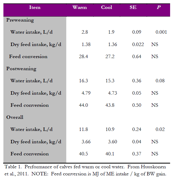 Calf Note #158 – Water for calves – cold or warm? – Calf Notes.com