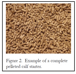 Calf Note #209 – How much energy is in my starter? – Calf Notes.com