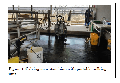 Calf Note #215 – Walking the Farm, Part 4 – Storing colostrum – Calf ...