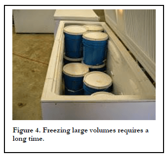 Calf Note #215 – Walking the Farm, Part 4 – Storing colostrum – Calf ...