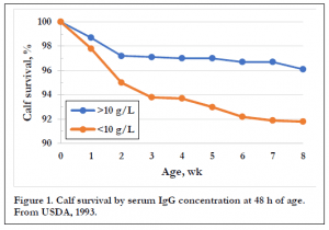 Calf Note #217– New recommendations on passive immunity in dairy calves ...