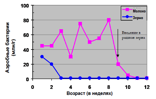 image-20 – Calf Notes.com